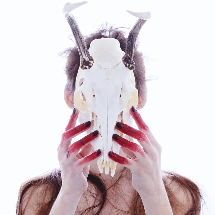 Written in Blood Forbidden Lipstick | Deep Blood Red Lipstick